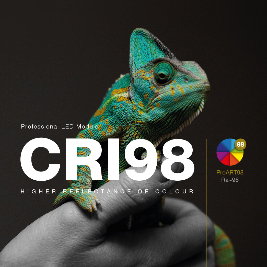 Portfolio - ELR Group